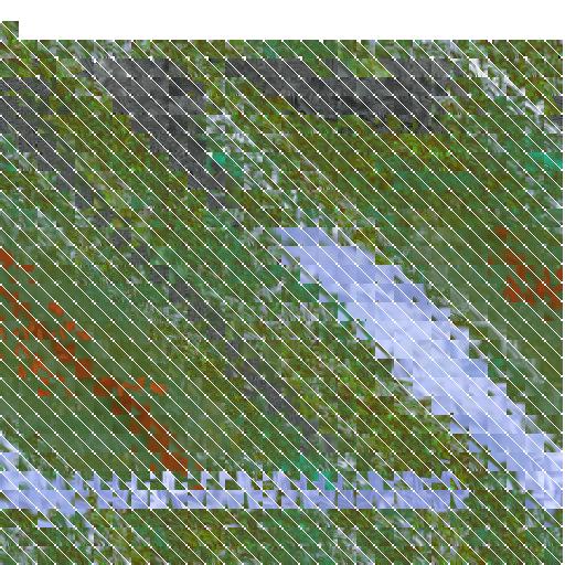 CS 290 Final Project